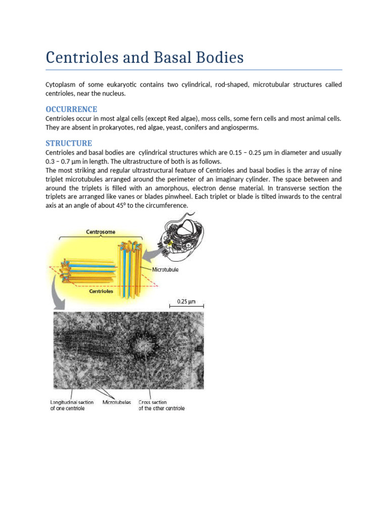 Centrioles: Structure and Occurrence | PDF