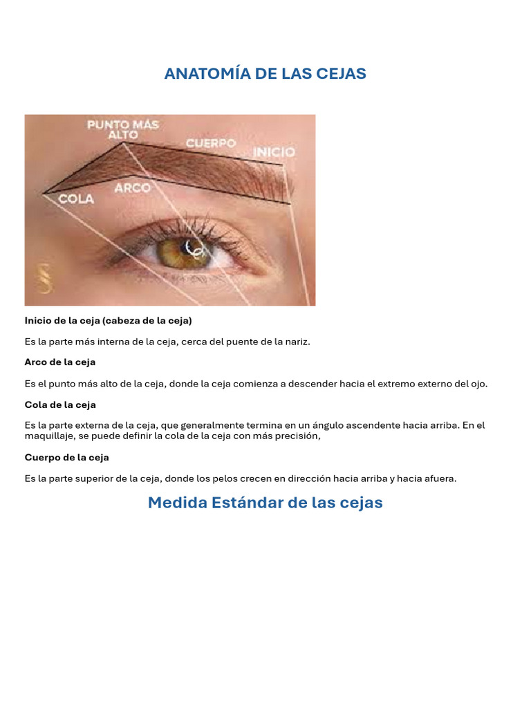 Cuadernillo de Practica Cejas - Docx 20250714 094403 0000 | PDF | Productos cosméticos
