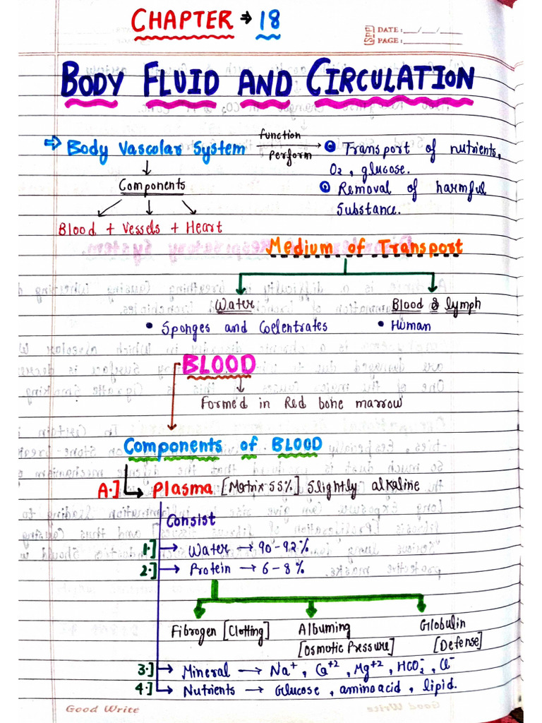 Body Fluids and Circulation | PDF