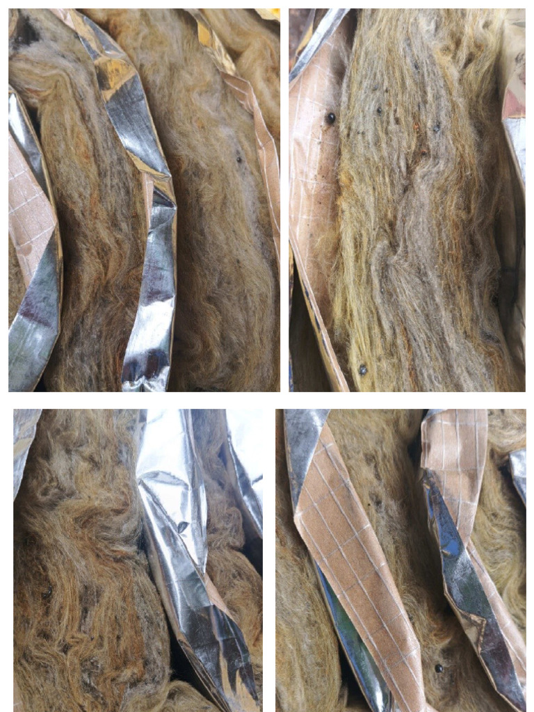 Insulation Damage Ampin 20.06.25 | PDF