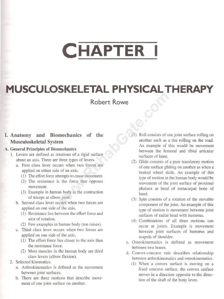 3 MSK | PDF | Anatomical Terms Of Motion | Elbow