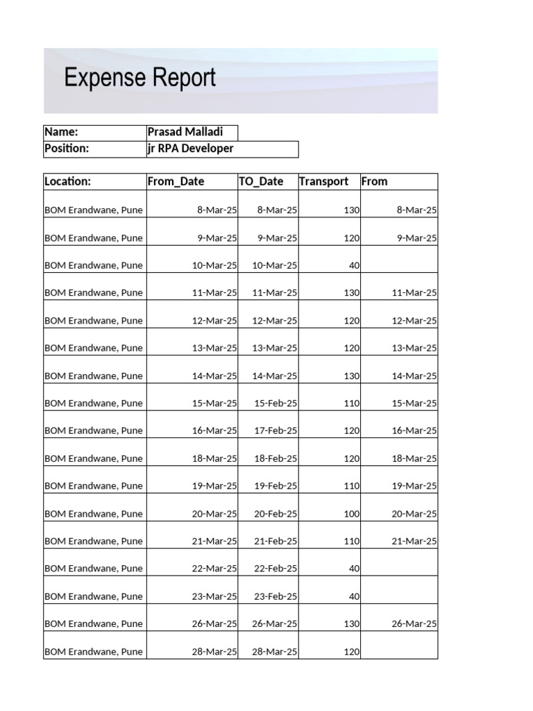 Expense Sheet March 2025 | PDF