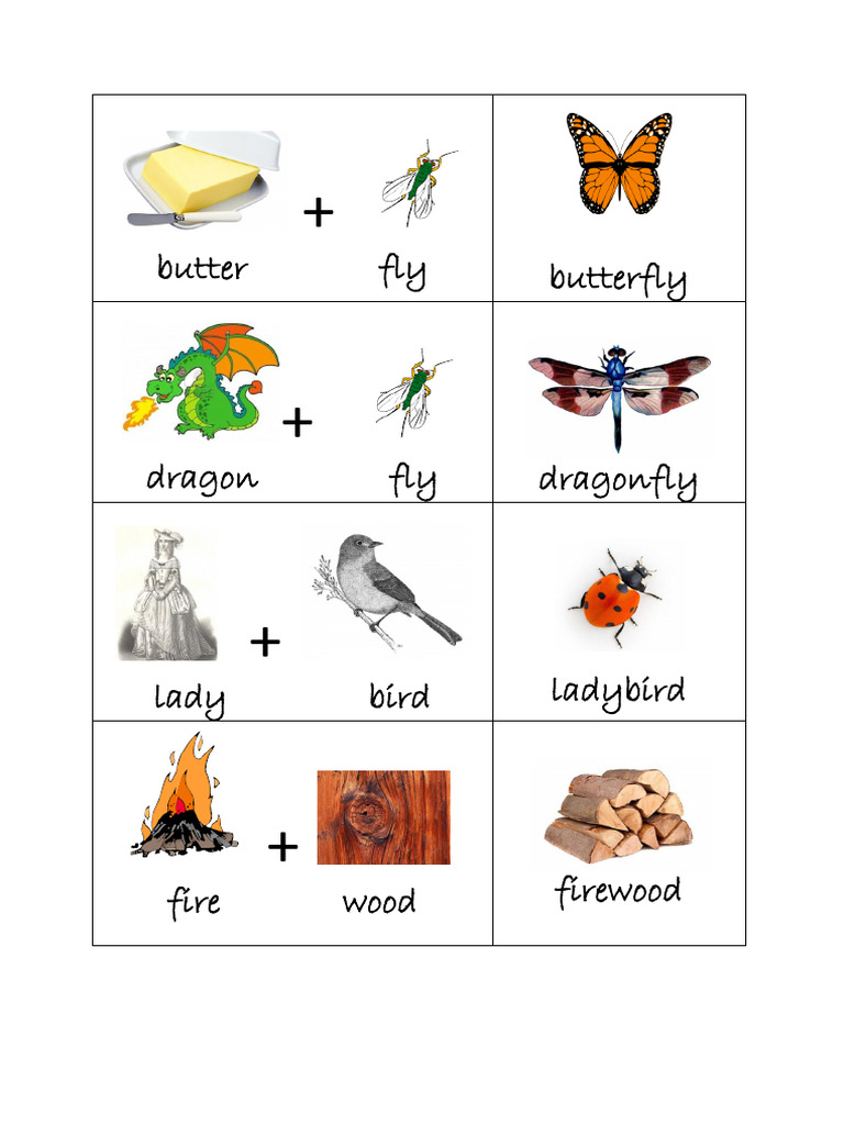 Compound Words Examples for Kids | PDF