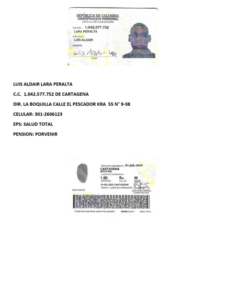 Luis Aldair Lara Peralta | PDF