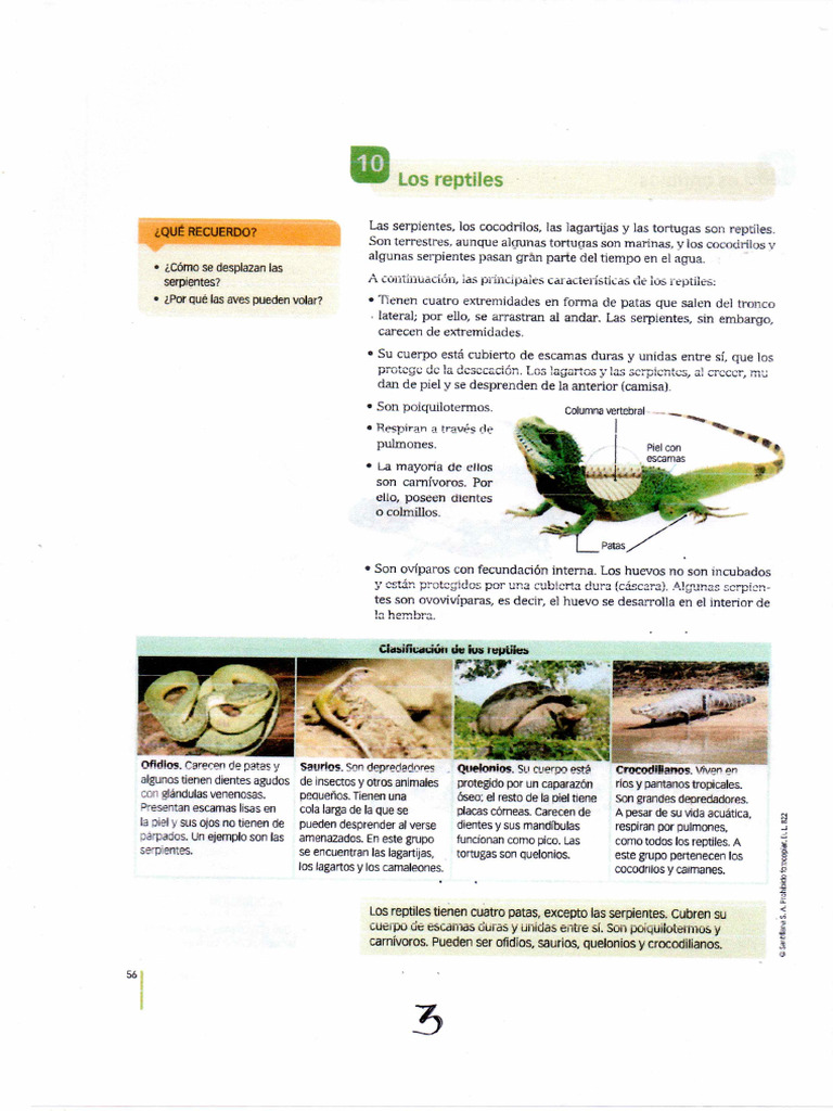 03 - Los Reptiles | PDF