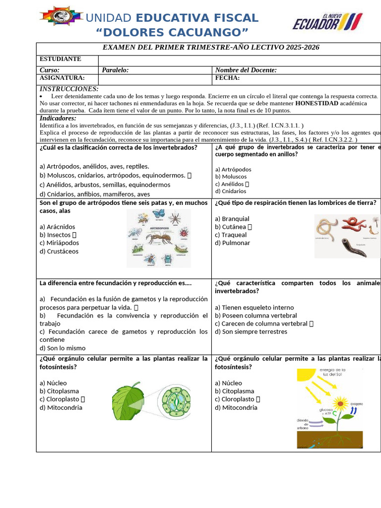 6° Evaluación Trimestral CCNN EXAMEN-T1 | PDF | Plantas | Invertebrado