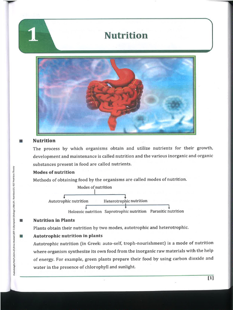 Biology Nutrition | PDF