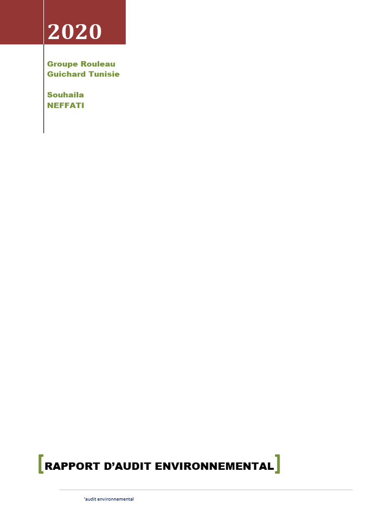 Rapport D 'Audit Environnemental | PDF | Audit | Climatisation