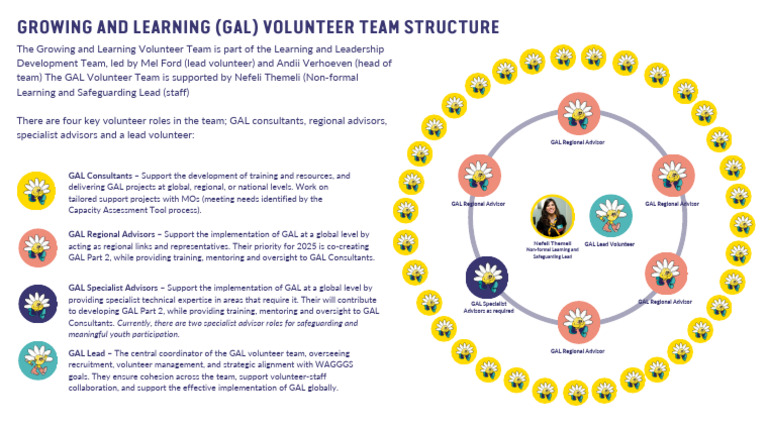 GAL Volunteer Team Structure | PDF