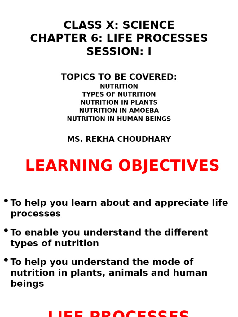 Understanding Life Processes in Organisms | PDF | Digestion | Nutrition