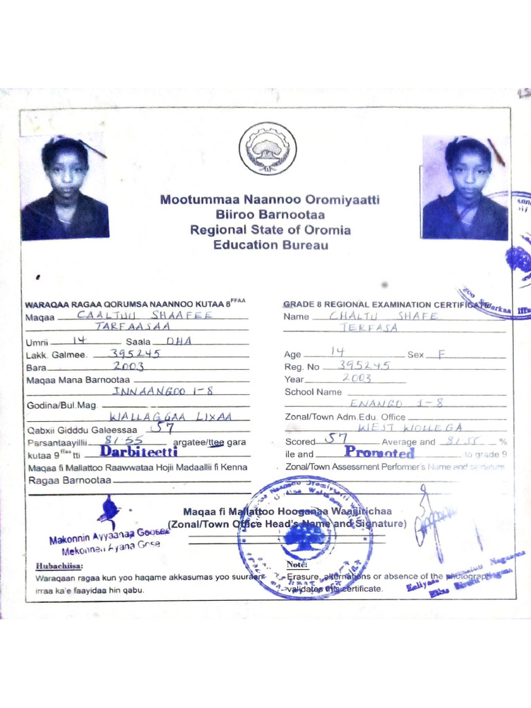 Chaltu Shafe Terfasa Scan Document | PDF