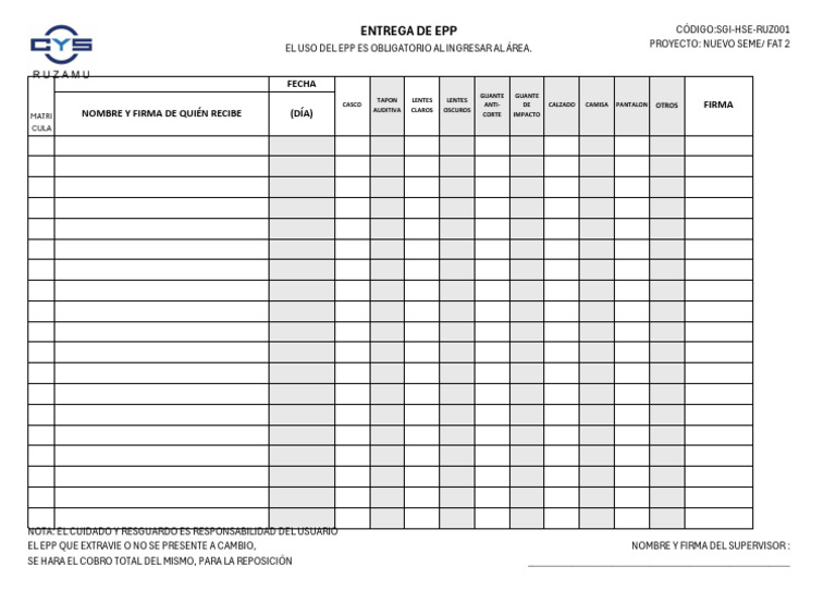 Entrega de Epp - Basico | PDF