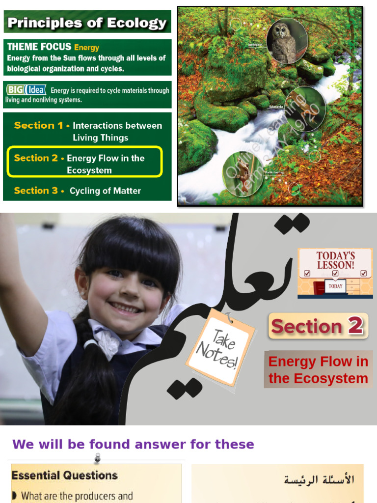 Sec2 Energy Flow in The Ecosystem24 | PDF | Food Web | Ecosystem