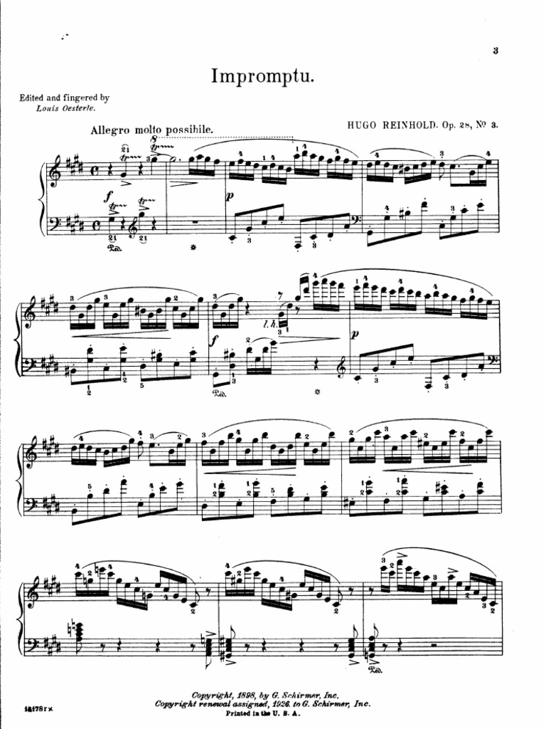 Hugo Reinhold Op28n3 Impromptu | PDF