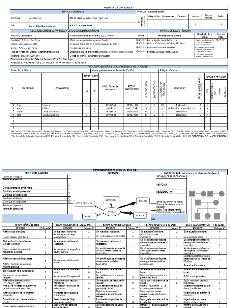 Ficha Familiar Tuñoque Baldera Lambayeque | PDF