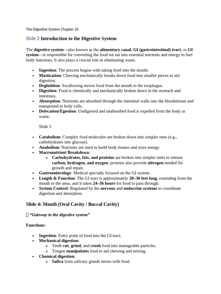 The Digestive System Chapter 26 | PDF | Digestion | Stomach