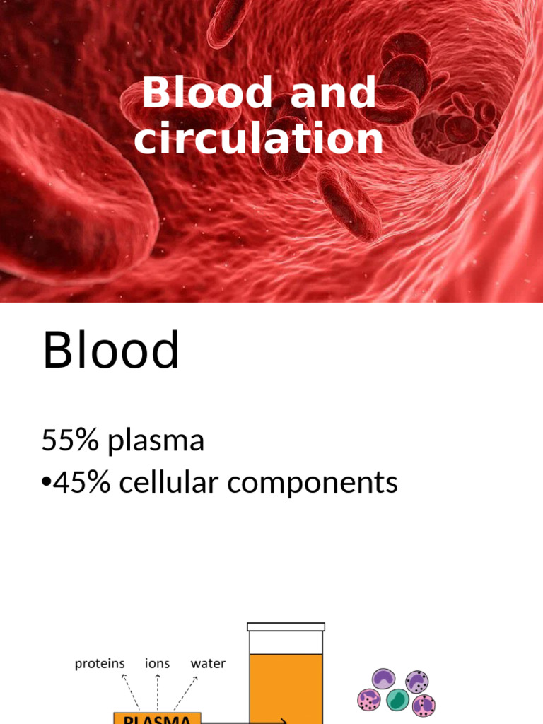 Blood Composition and Functions Explained | PDF | Granulocyte | White ...