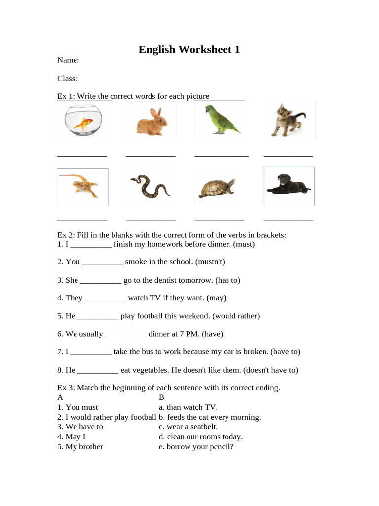 I Have, I Don't Have Worksheet | PDF
