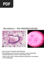 WHO Antibiotic Aware Classification 2023.04 Eng | PDF | Antimicrobial ...