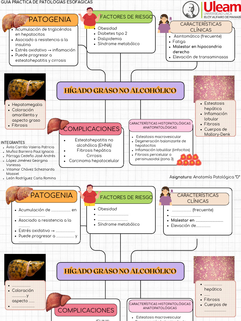 Mapa Conceptual Esquema Doodle Infantil Multicolor | PDF | Cirrosis ...