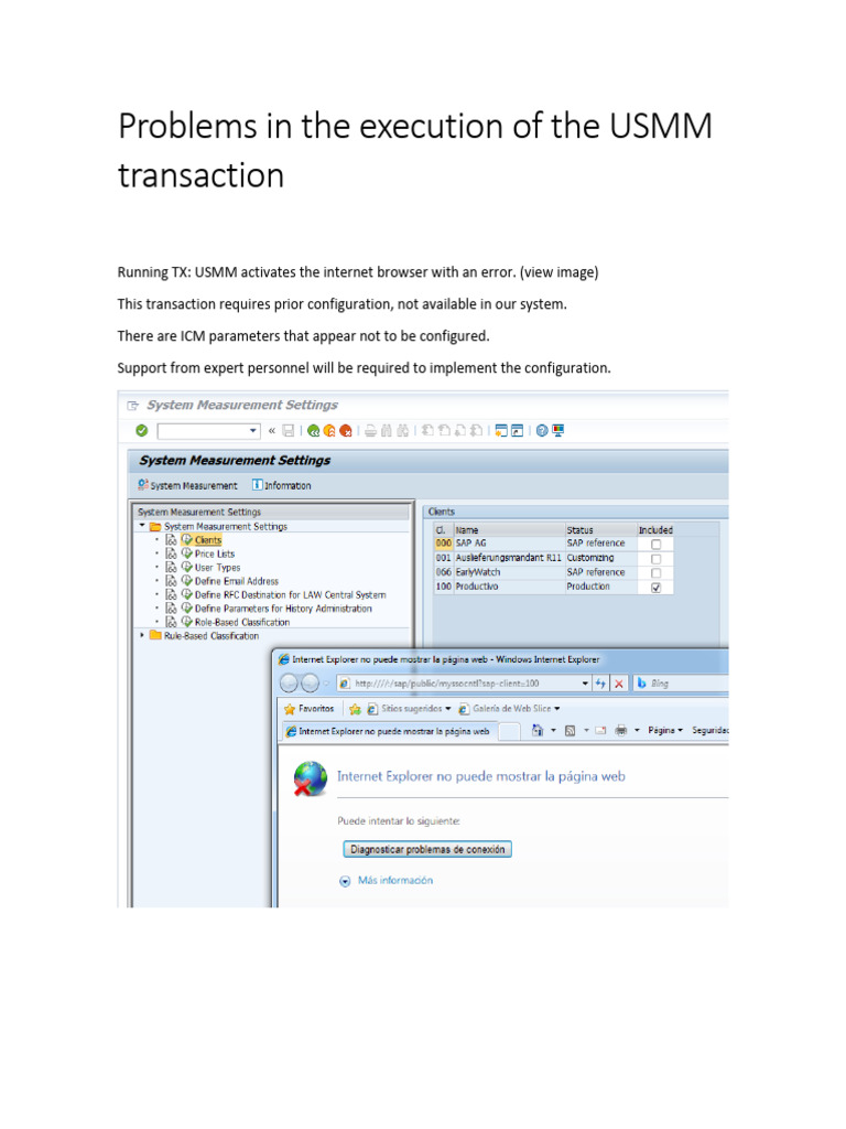 Problems in The Execution of The USMM Transaction | PDF