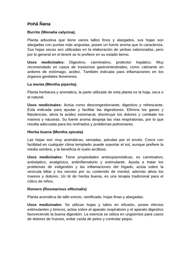 Usos medicinales de Pohã Ñana | PDF | Hinojo | Hierbas y especias