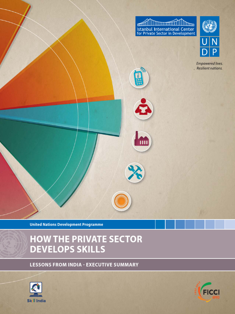 UNDP FICCI Report - How The Private Sector Develops Skills - Lessons ...