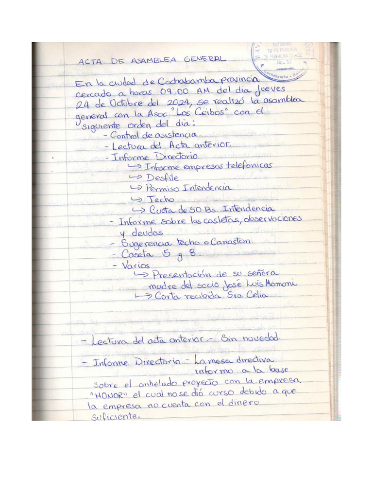 Libro de Actas Caso Jose Luis Asamblea 24 10 2024 | PDF