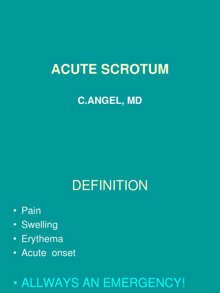 Acute Scrotum | PDF | Testicle | Sexual Anatomy