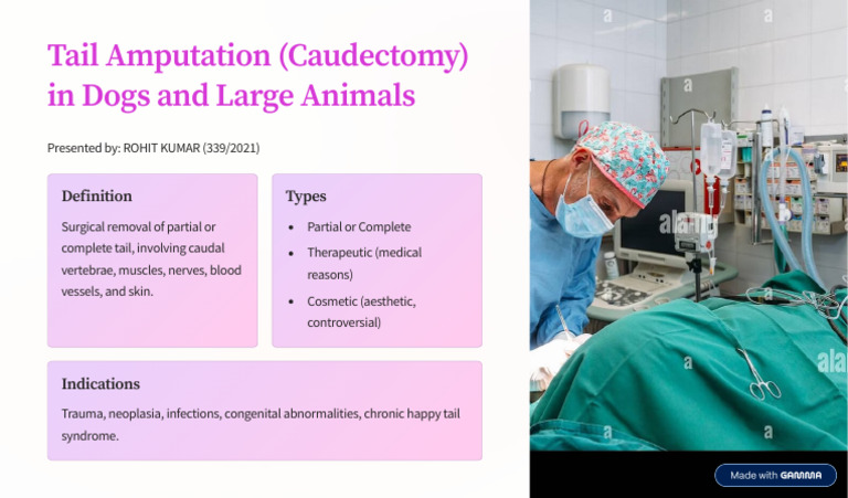 Tail Amputation Caudectomy in Dogs and Large Animals | PDF