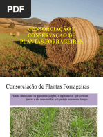 Concorde ICL Brazil | PDF | Agricultura