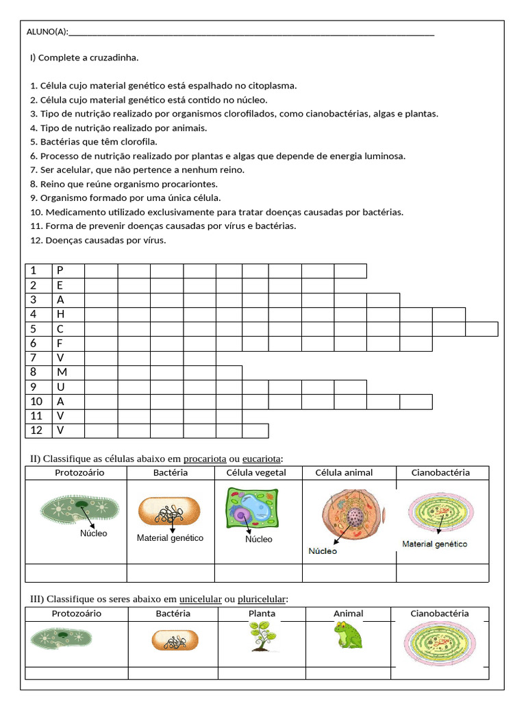 7 Ano Atividade Complementar 5 Revisão Gabarito | PDF