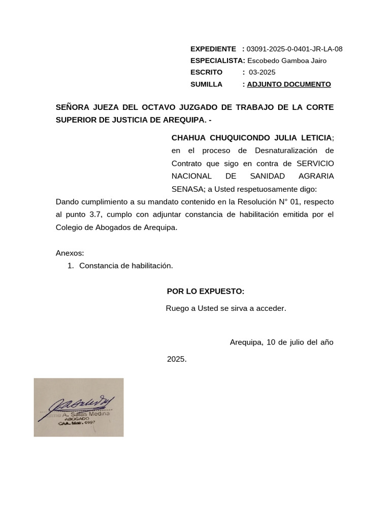 Adjunto Documento - Julia Chahua | PDF
