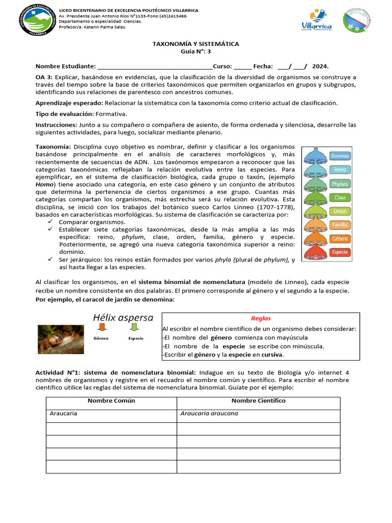 1° Taxonomía y Sistemática Guía #4 | PDF | Taxonomía (biología) | Especies