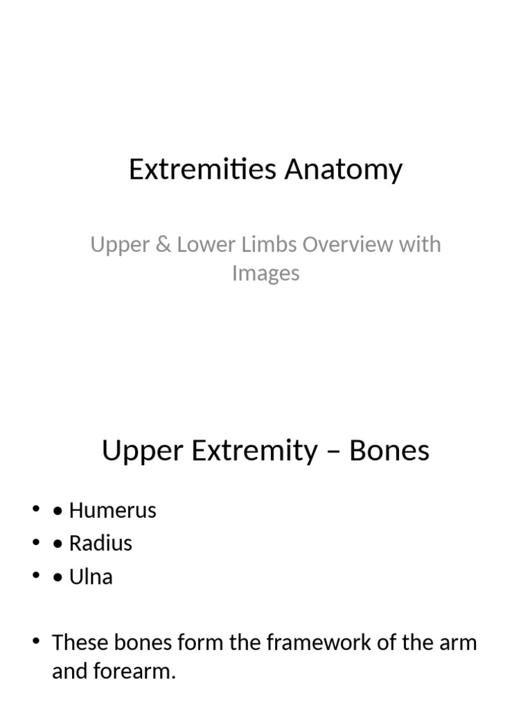 Extremities Anatomy: Bones, Muscles, Nerves | PDF