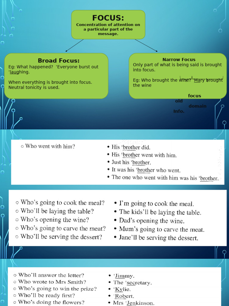 Understanding Focus in Communication | PDF | Pronoun | Verb