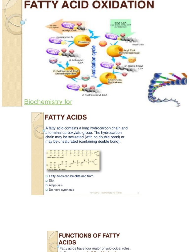 Beta Oxidation of Fatty Acids | PDF