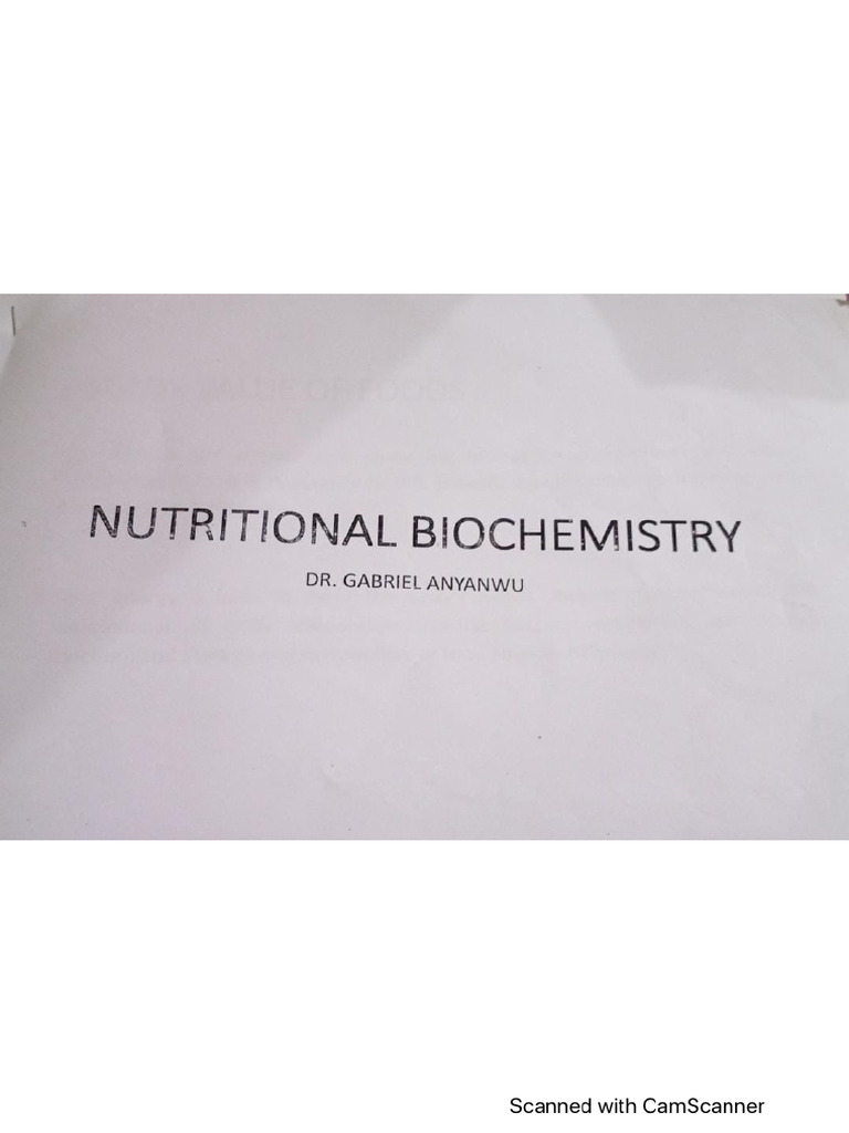 BCH First Note | PDF