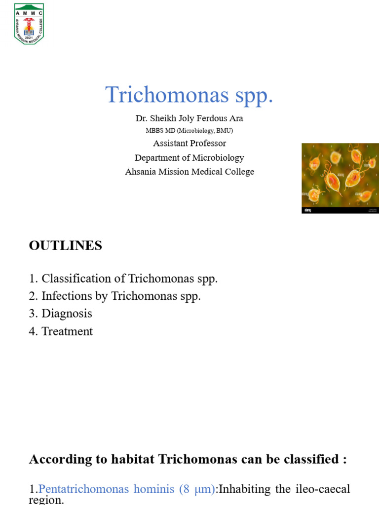 Trichomonas - PPTX (07.07.25) | PDF | Staining | Clinical Medicine