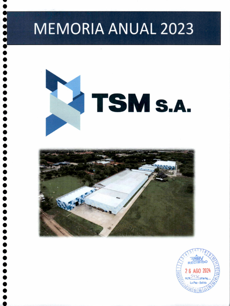 TSM Mem | PDF