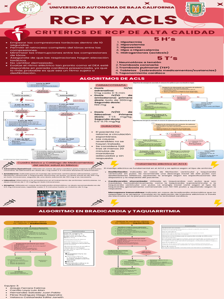 Infografia RCP y ACLS | PDF | Reanimación cardiopulmonar | Paro cardíaco