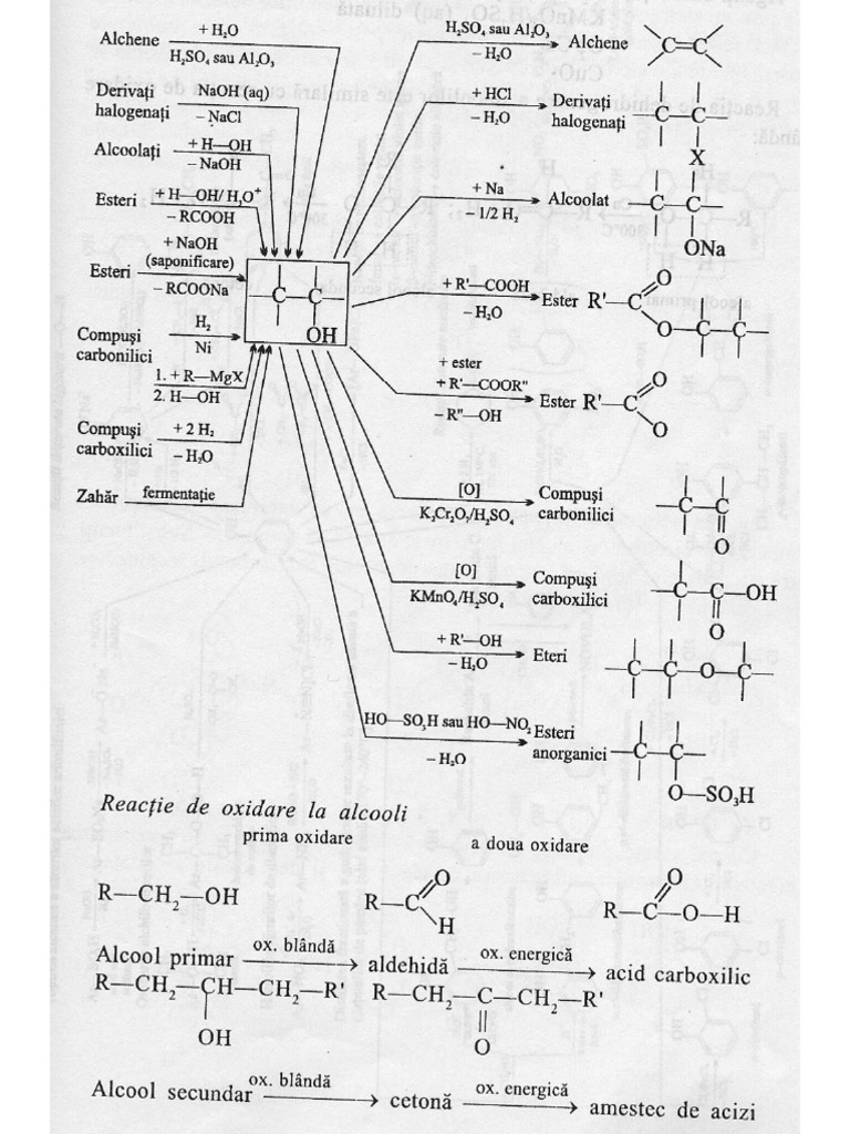 Alcooli Harta Conceptuala | PDF