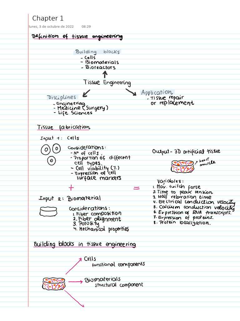 Introduction To Tissue Engineering | PDF
