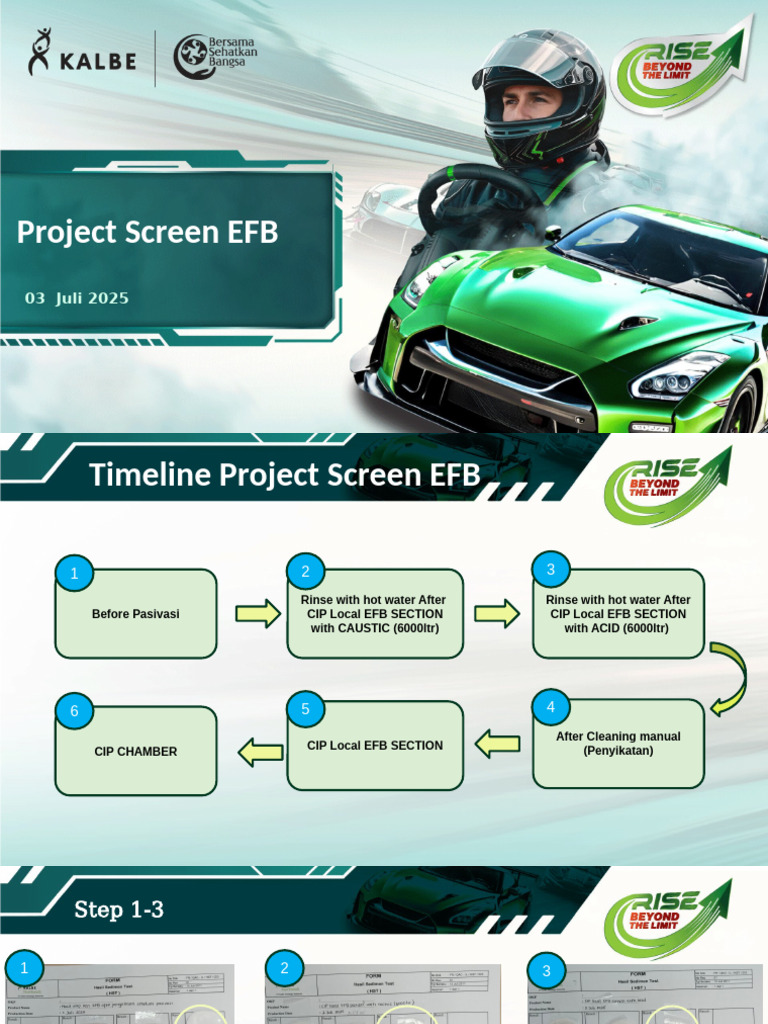 Project Screen EFB OK | PDF