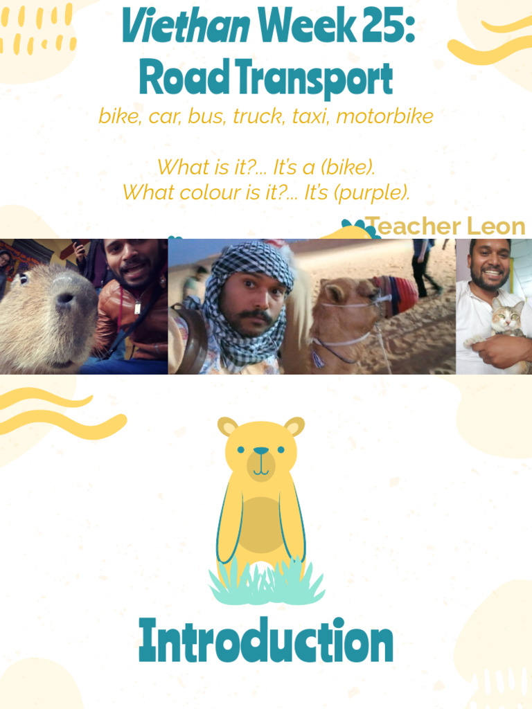 Viethan Wk25 Slides - Road Transport | PDF