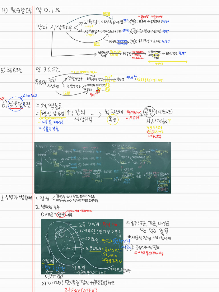 410 해밀 생명 - 240412 - 010517 | PDF