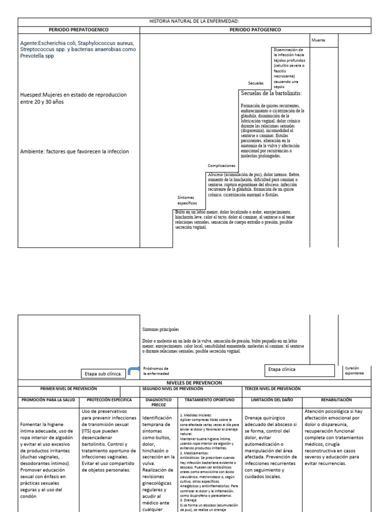 7 Formato Vacio de Historia Natural de Enf | PDF | Enfermedades y trastornos humanos | Medicina