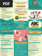 MR TD Information Guide | PDF