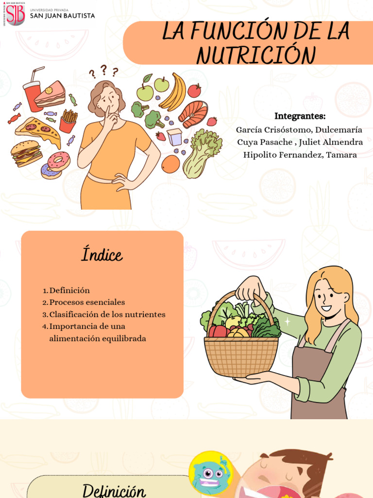 Función y Clasificación de Nutrientes | PDF | Nutrientes | Nutrición