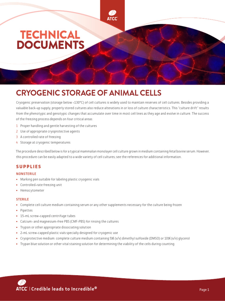 Cryogenic Storage of Animal Cells | PDF | Dimethyl Sulfoxide | Cell Culture